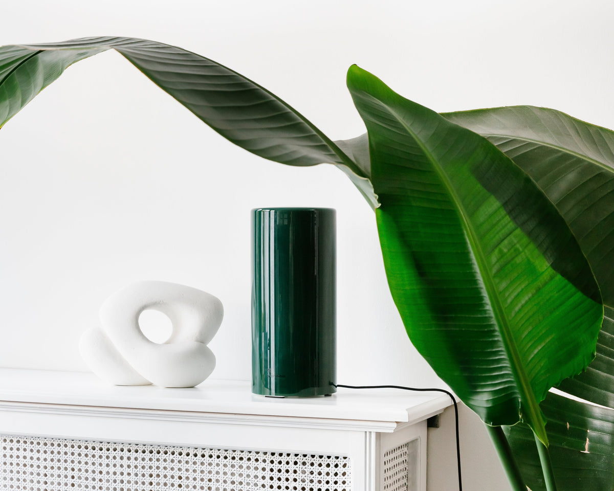 Aurora Diffuser - Rainpharma – RainPharma